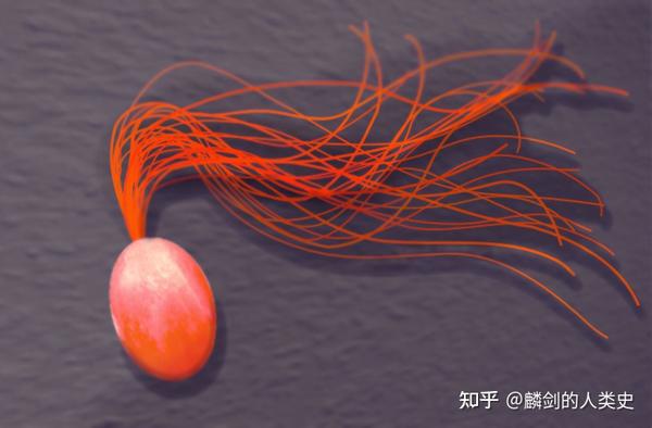 【地球生物全系列——从单细胞到人类】古细菌界—广古菌门 - 知乎