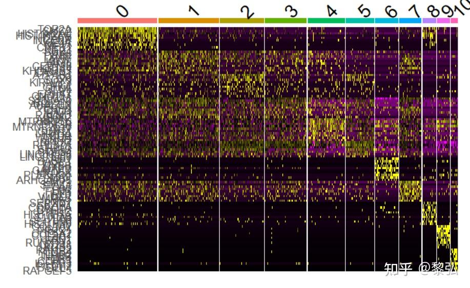 单细胞数据分析流程（cellranger、Seurat、singleR） - 知乎