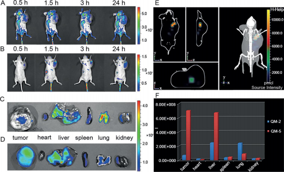 IVIS 活体光学成像技术概述_化工仪器网