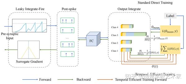 SNN系列文章10——Temporal efficient training，SNN时域高效训练 - 知乎
