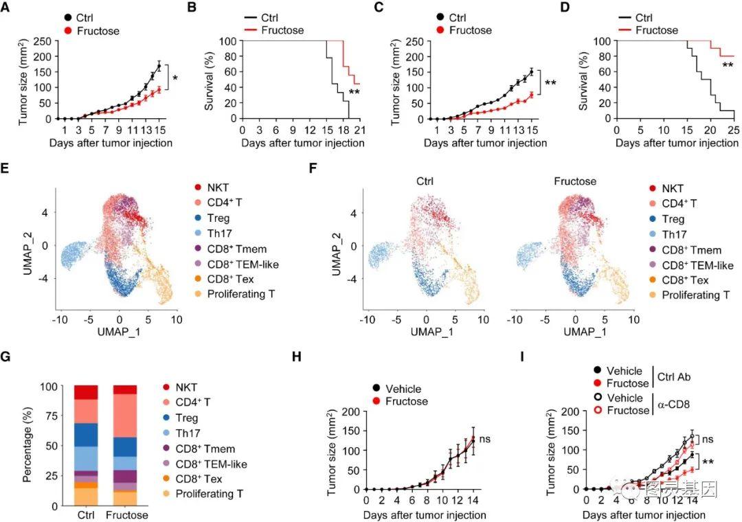 Cell Met ｜ 上海交大邹强团队颠覆性发现：膳食果糖可增强肿瘤免疫应答 - 知乎