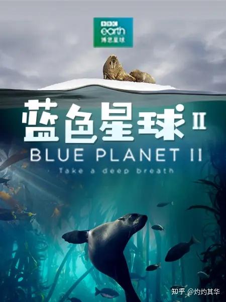 如何批量下载B站（油管）视频节目 - 知乎
