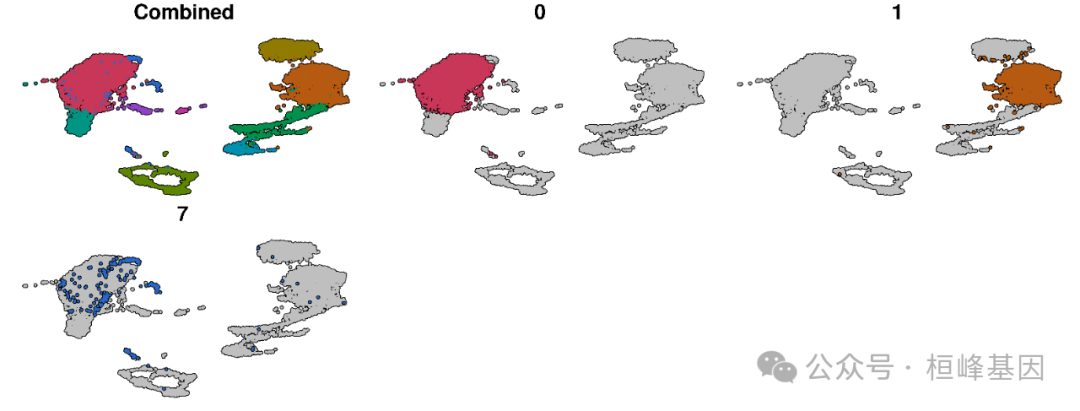 SCS【39】单细胞转录组之降维散点图的美化 (SCpubr) - 知乎