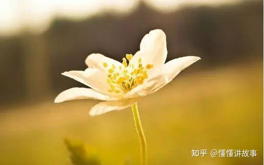 一个人想获得真正的自由,做到这3样 知乎