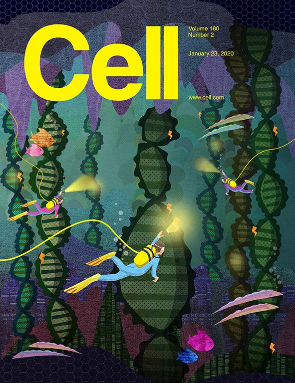科学与艺术的结合！《CELL》100+张期刊封面鉴赏｜2020年篇 - 知乎