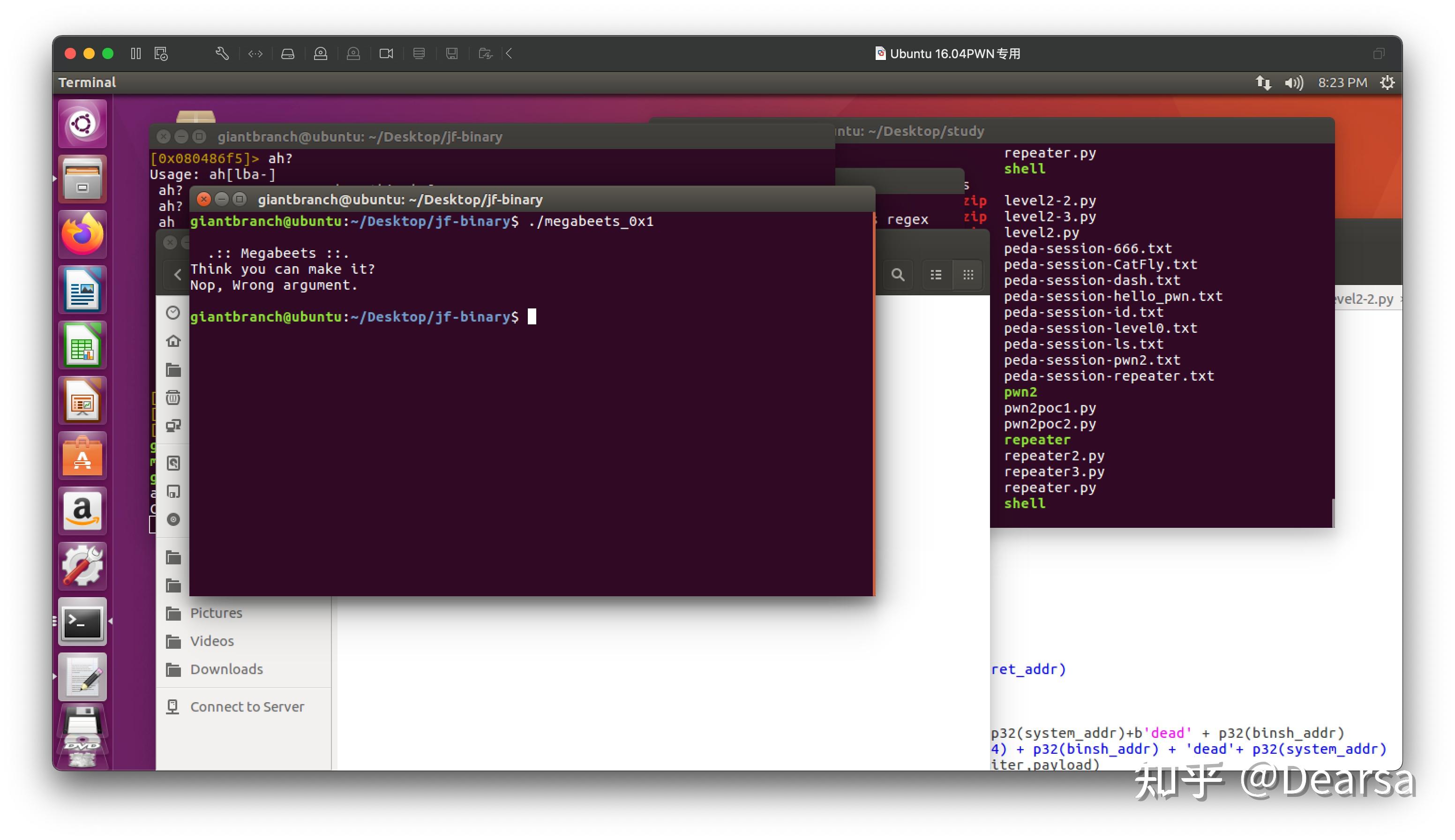 Radare2:using test - 知乎