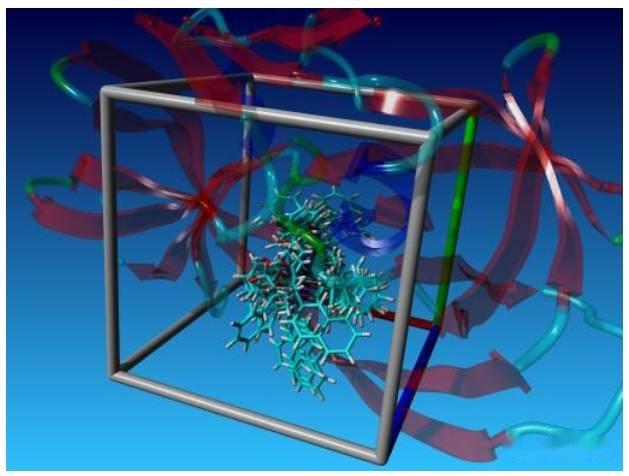 YASARA综合分子模拟软件简介 - 知乎
