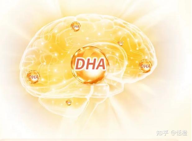 DHA：大脑发育的超级营养素 - 知乎