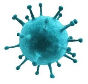 Nat Comm | 华中科技大学王晨辉团队揭示TAGAP参与抗真菌免疫的分子机制 - 知乎