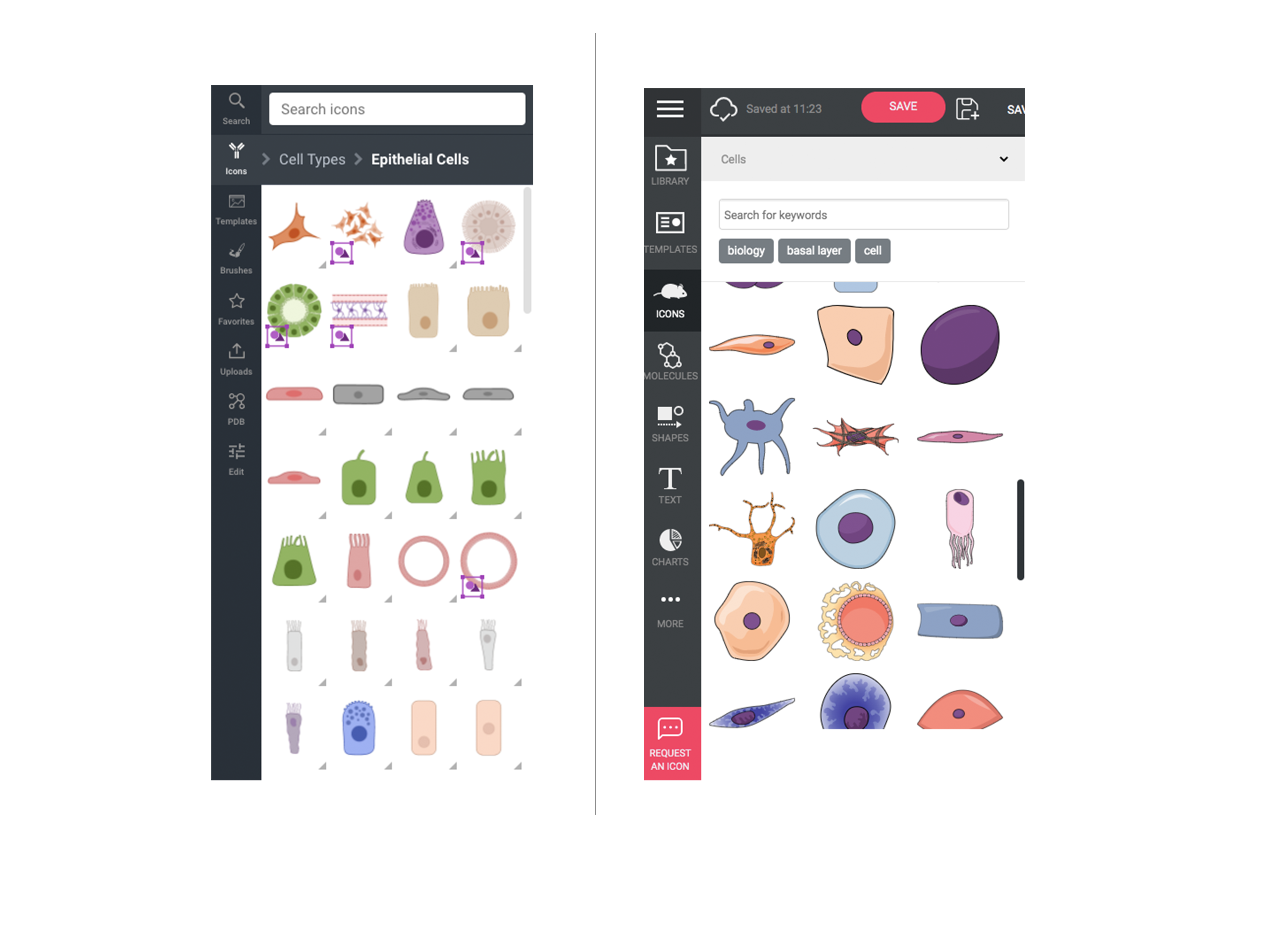 制作一张漂亮的science nature cell等期刊科学插图 - 知乎