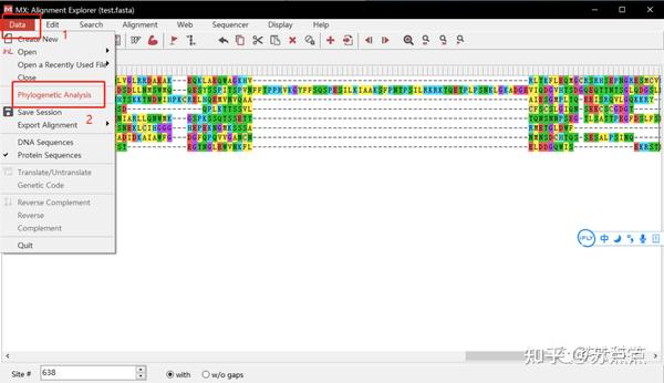 MEGA-X | 选择模型构建进化树（超慢的~） - 知乎