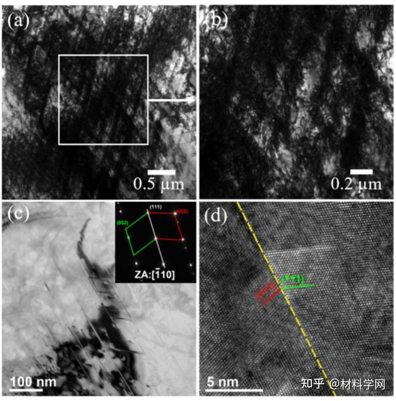 中南大学塑性顶刊：多级梯度结构强化中熵合金的强度-延性协同作用 - 知乎