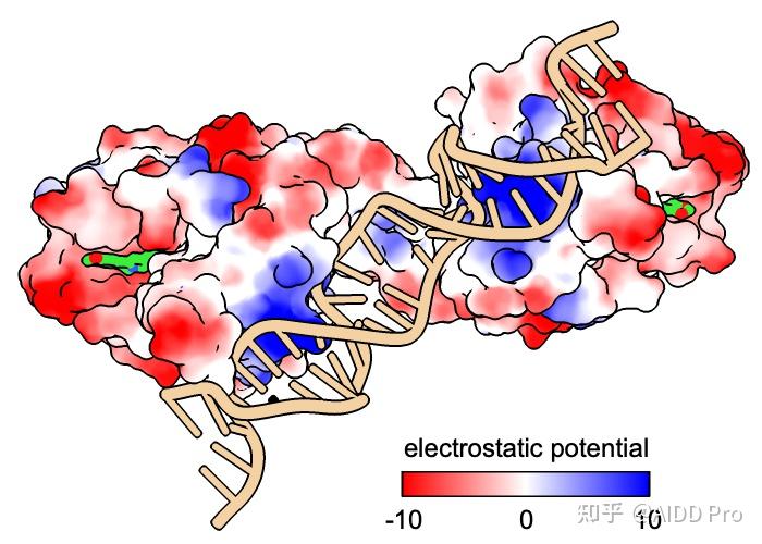 ChimeraX使用教程【01】静电势能表面的绘制方法 - 知乎