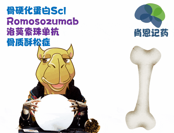 记住骨硬化蛋白Scl拮抗剂 | Romosozumab 洛莫索珠单抗 | 治疗绝经后妇女骨质疏松症 - 知乎