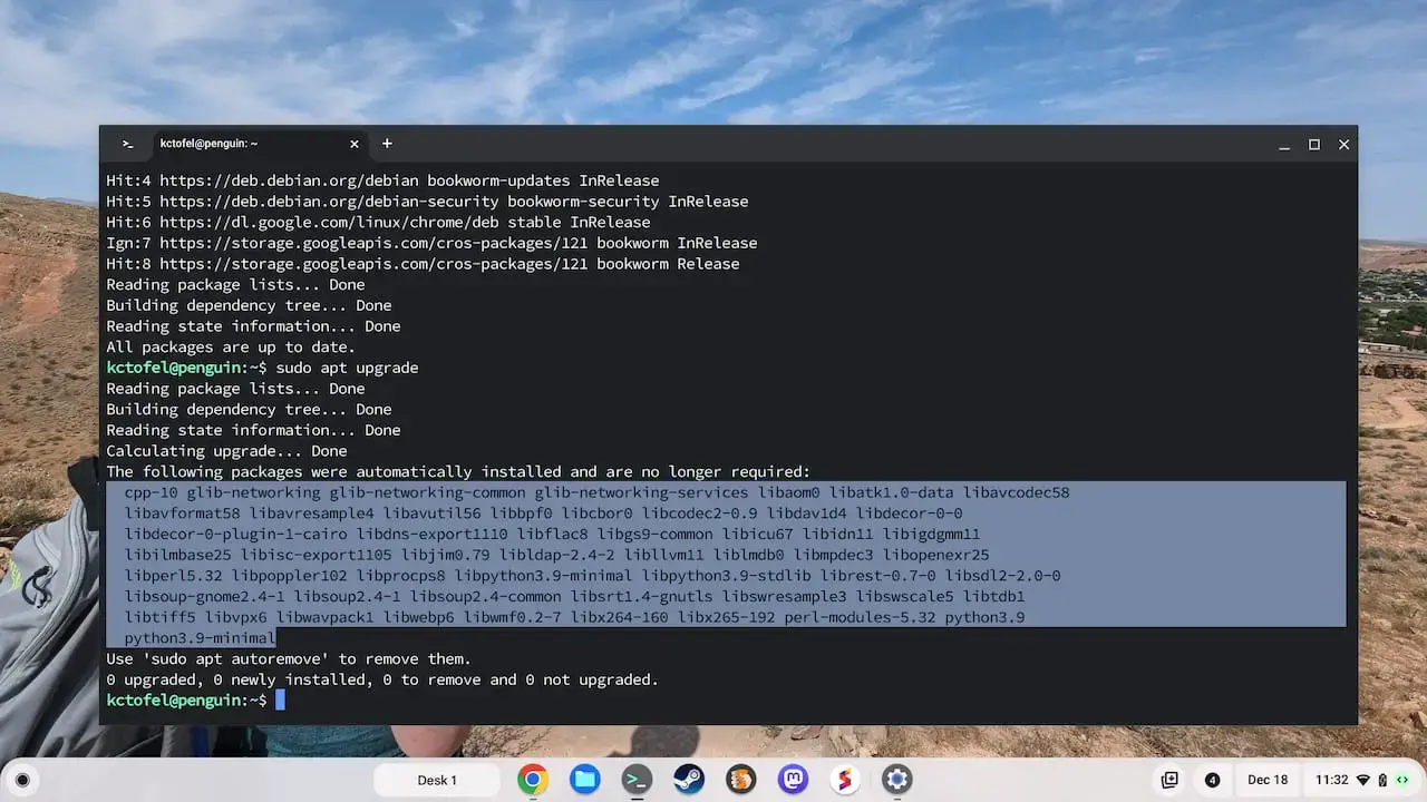 ChromeOS 121 为 Chromebook 带来了重大 Linux 升级 - 知乎