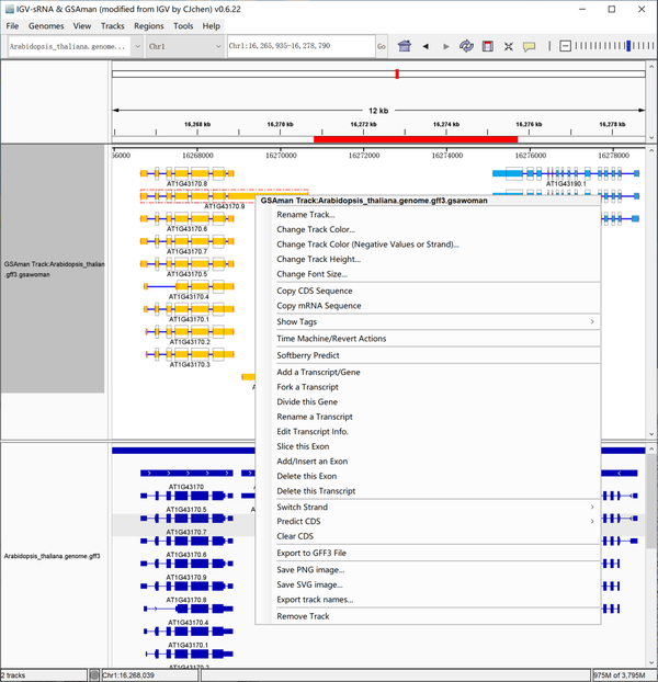 IGV-GSAman |「功能基因组时代」的高效率科研工具 - 知乎