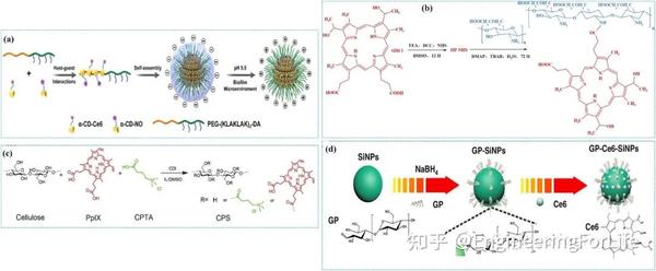 《Bioact. Mater.》综述：光动力抗菌治疗的研究进展 - 知乎
