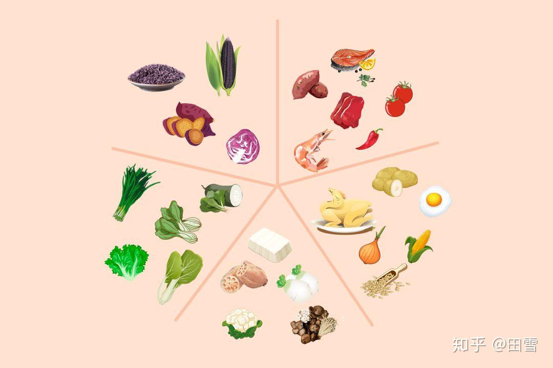 211饮食法 | 简单高效的健康饮食法则 - 知乎