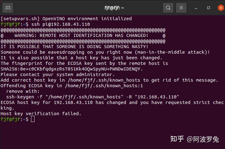 树莓派3B+运行YOLOv5/6.2 - 知乎