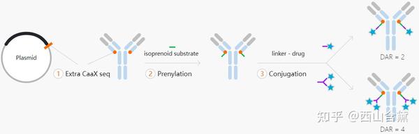国内外知名企业ADC技术平台(第六期，LegoChem） - 知乎
