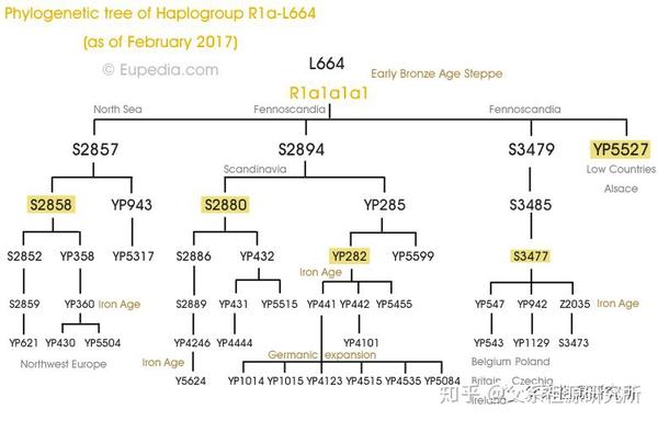父系单倍群R1a - 知乎