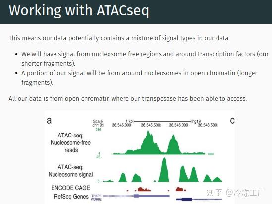 ATAC-seq分析：教程简介（1） - 知乎
