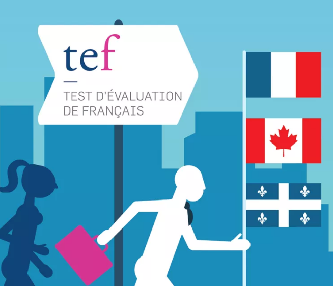 一天参加3次TEF Canada ，用血和泪给你们总结的经验贴！任何人不看我都会伤心！ - 知乎