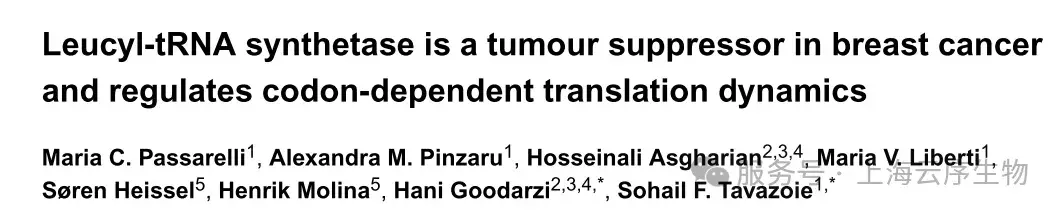 新品来袭, Nature Cell Biol文章通过氨酰-tRNA测序揭秘乳腺癌翻译调控新机制！ - 知乎