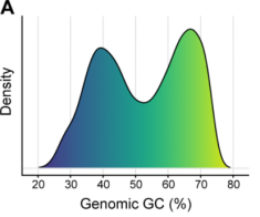 基因GC含量知多少 - 知乎