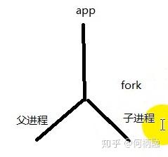 linux 进程 fork() - 知乎