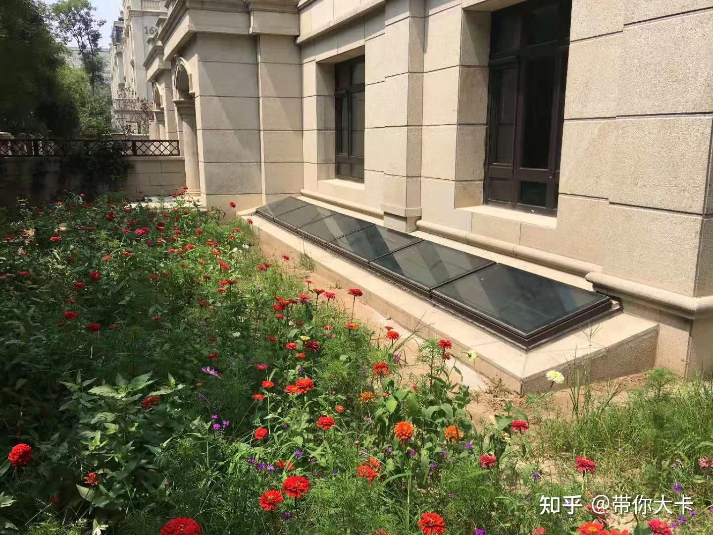 窗井知识点汇总-20220623 - 知乎