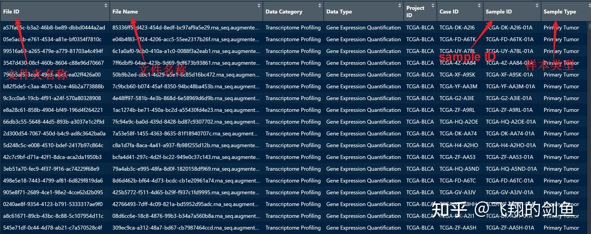 TCGA挖掘：下载整理转录组数据（无需json文件） - 知乎