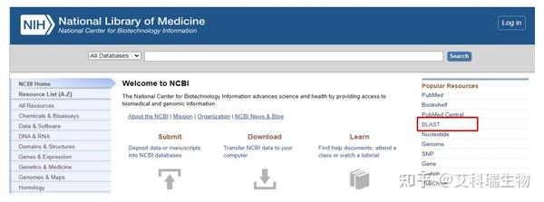 NCBI在线设计引物，经典必会！ - 知乎