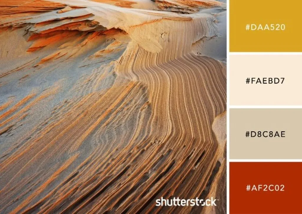 高端大气上档次的金色如何搭配？ - 知乎