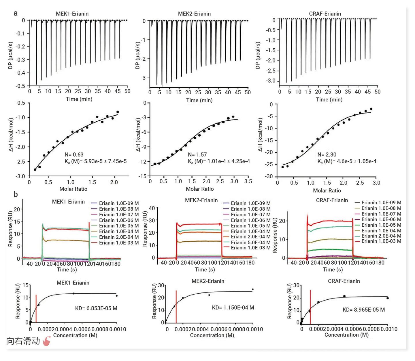 分子互作大比拼，SPR、ITC、MST、BLI，谁才是最强王者？| MedChemExpress (MCE) - 知乎