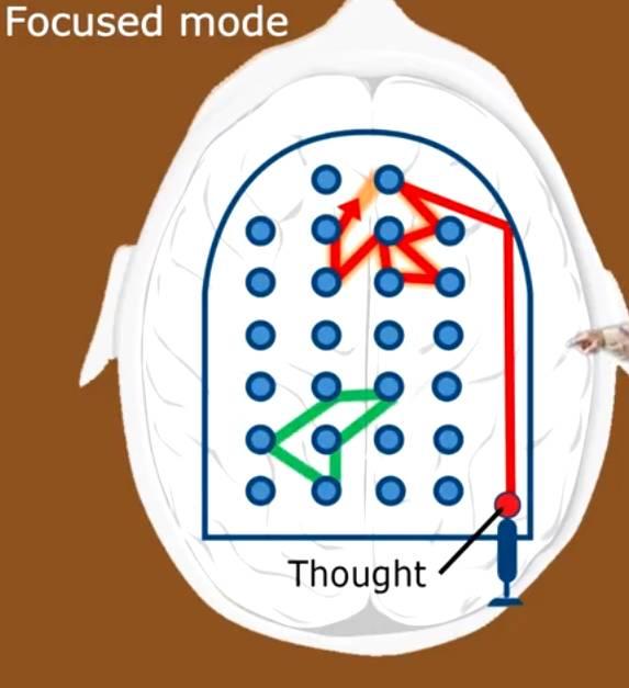 Focus Thinking And Diffuse Thinking - 知乎