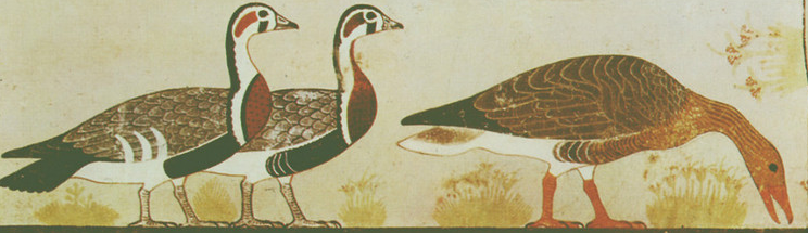 十五分钟看懂神秘的埃及艺术 - 知乎