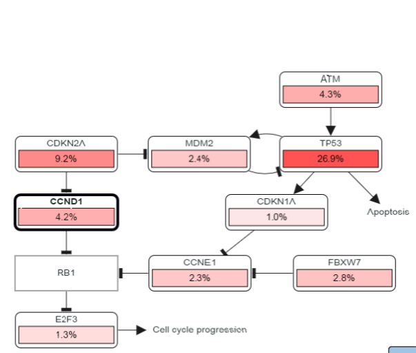 53- 1例CCND1/FGF4/FGF3/FGF19共扩增的肺鳞癌 - 知乎