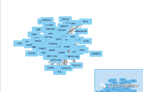 手把手教你使用Cytoscape - 知乎