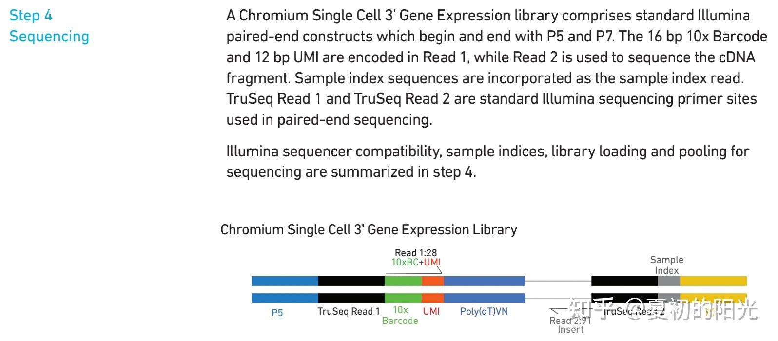 10x Genomics 单细胞技术简介 - 知乎
