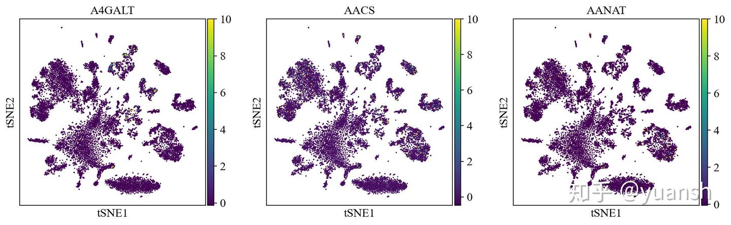（单细胞-SingleCell）Scanpy流程——python 实现单细胞 Seurat 流程 - 知乎