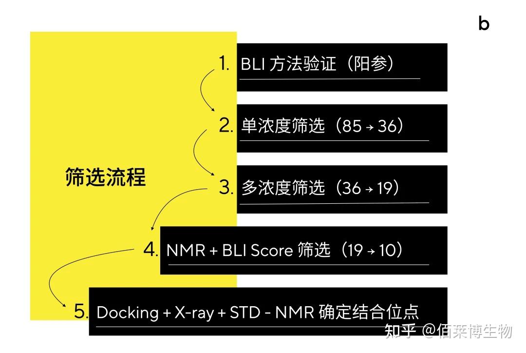 BLI应用案例：利用BLI技术进行小分子药物筛选 - 知乎