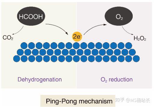 Angew：Pt-Au合金催化甲酸氧化合成H2O2 - 知乎