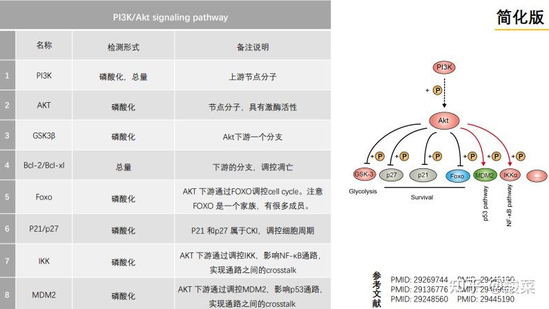 NF-κB？MAPK？AKT？傻傻分不清楚，1条就是1篇SCI，带你研究12条信号通路 - 知乎
