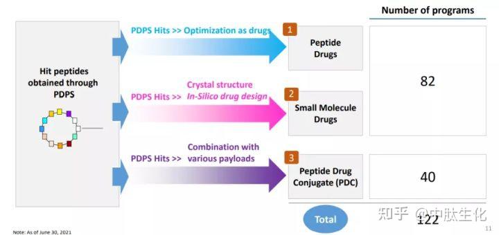 ADC的下一个风口多肽偶联物（PDC)全球管线解析 - 知乎