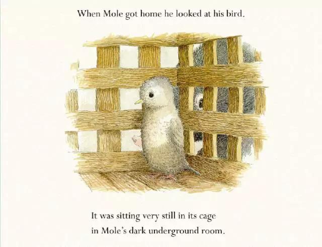 绘本故事 | Mole And The Baby Bird - 知乎