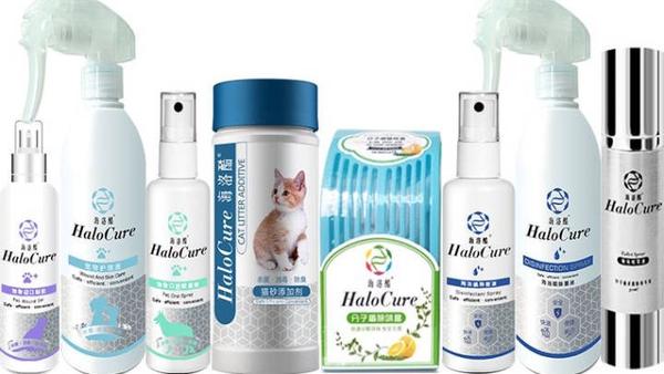 Feline Dermatophytosis,Ringworm猫癣治疗与预防 - 知乎