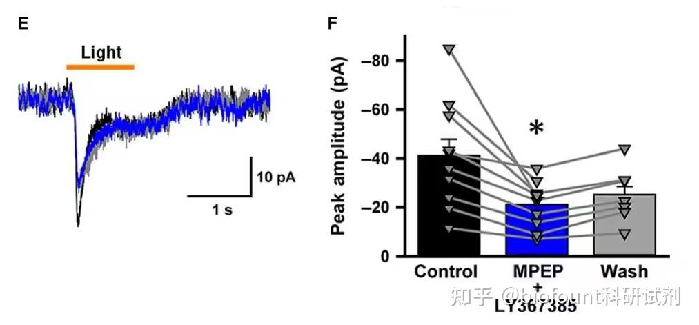 MPEP；mGlu5拮抗剂 - 知乎