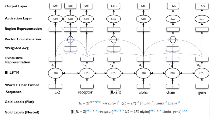 嵌套命名实体识别任务简介 - 知乎