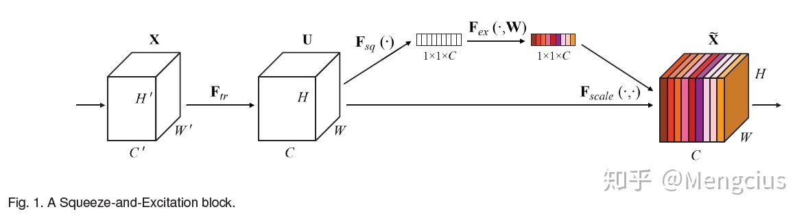 CNN模型合集 | 19 SENet - 知乎